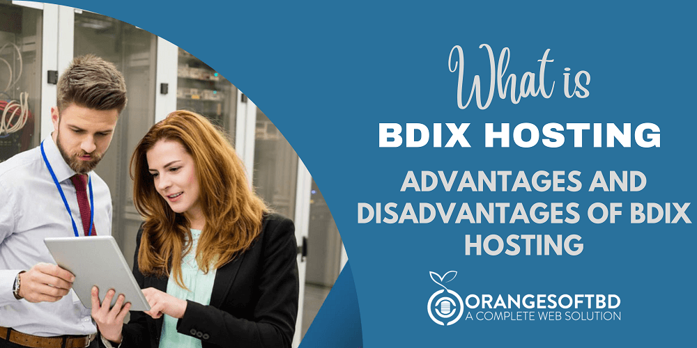 What is BDIX Hosting, Advantages And Disadvantages Of BDIX Hosting What is BDIX Hosting, Advantages And Disadvantages Of BDIX Hosting